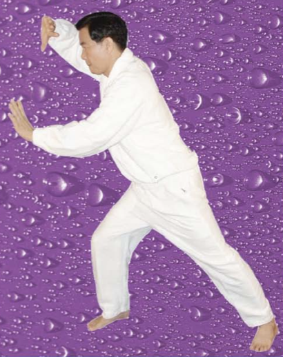 mantakchia – Mantak Chia Courses